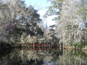 Magnolia Plantation Gardens: Complete Visitor Guide & Tips - Nomadic Family